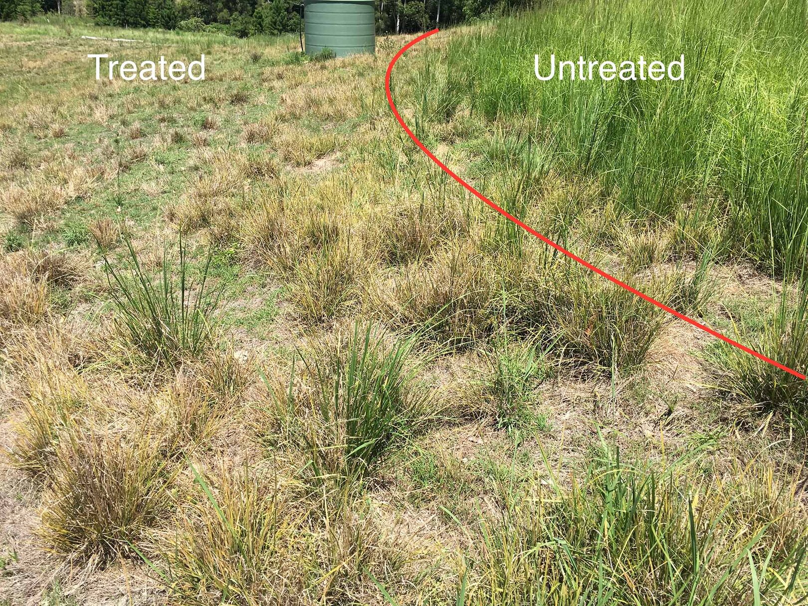 Flupropanate | Granular Products